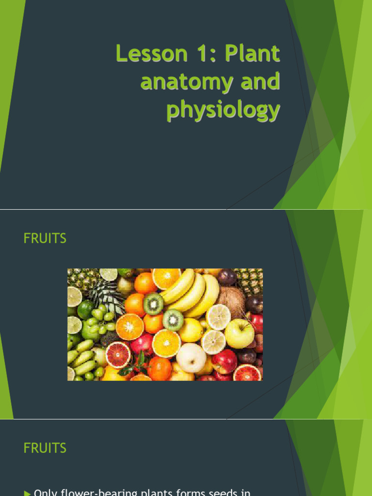Lesson 1 FRUITS AND SEED | PDF