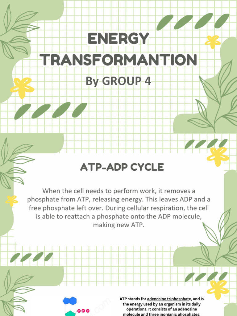 Energy Transformation | PDF | Cellular Respiration | Adenosine Triphosphate