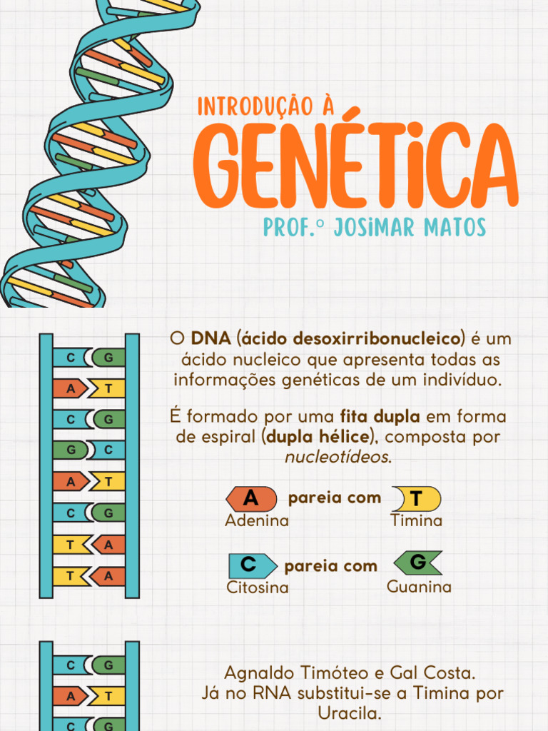 Estrutura e Função do DNA e RNA | PDF | Genótipo | Gene