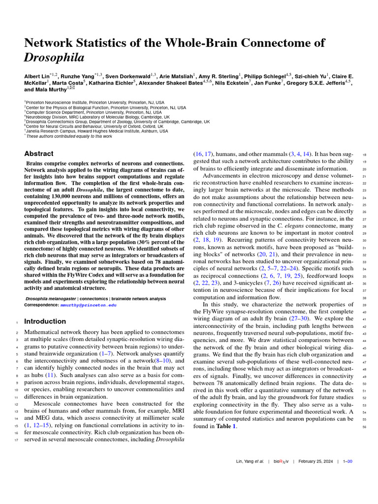 Connectome Stats | PDF | Synapse | Inhibitory Postsynaptic Potential