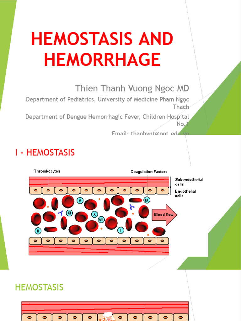 XH-hemophilia 2022 | PDF | Coagulation | Platelet