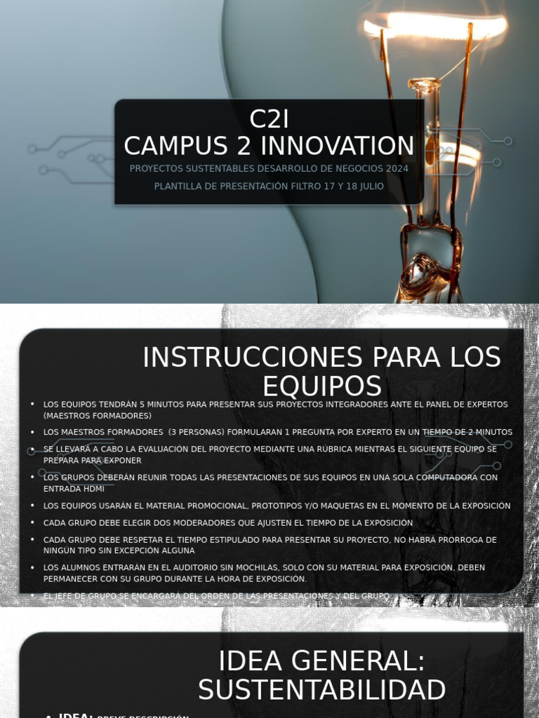 Plantilla de Presentación Proyecto Integrador C2 2024 | PDF | Producto ...