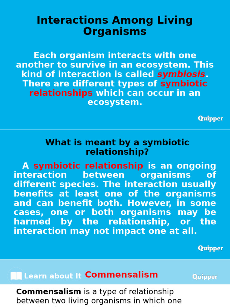 Interactions Among Living Organisms Symbiotic Relationships | PDF ...