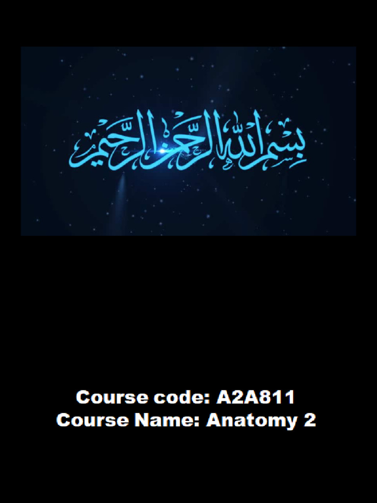 Lec 3 Femoral Triangle Edited | PDF | Vein | Lower Limb Anatomy