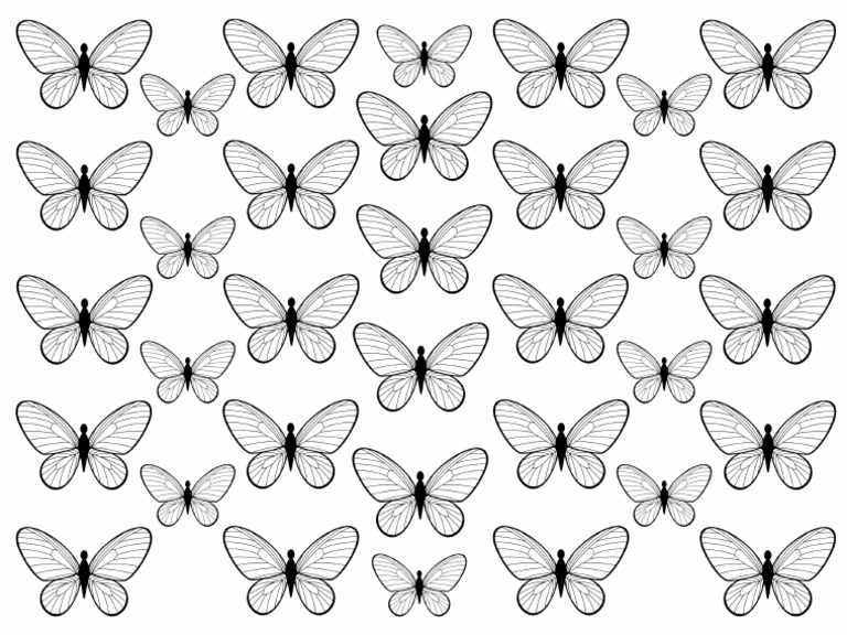 Butterflies | PDF