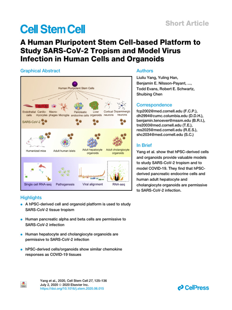 A Human Pluripotent Stem Cell-Based Platform To Study SARS-CoV-2 Tropism and Model Virus ...