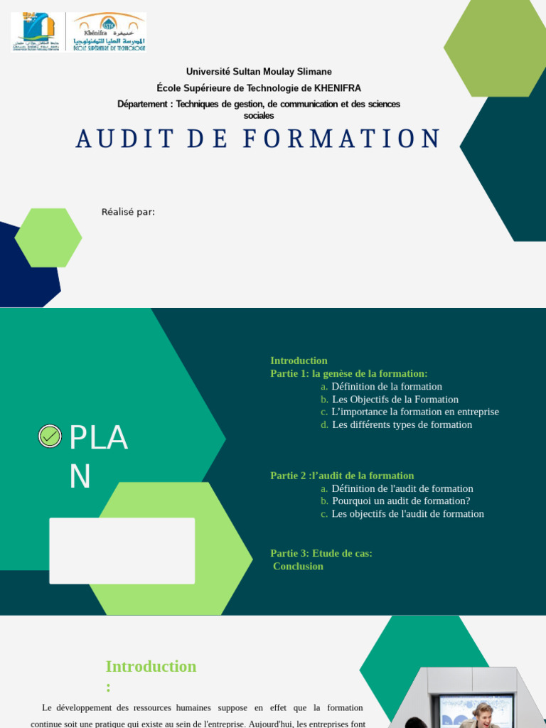 Audit de la Formation en Entreprise | PDF | Gestion des ressources humaines | Audit