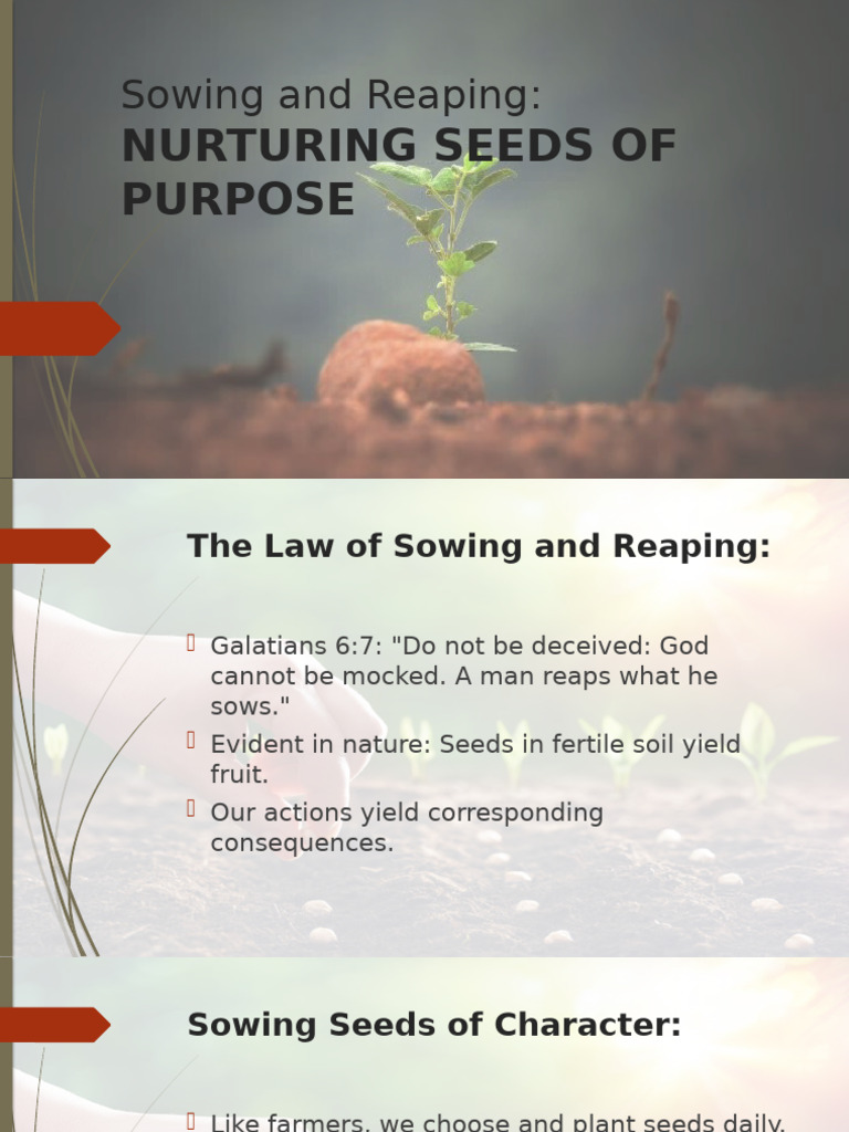 Seeds of Purpose and Positivity | PDF