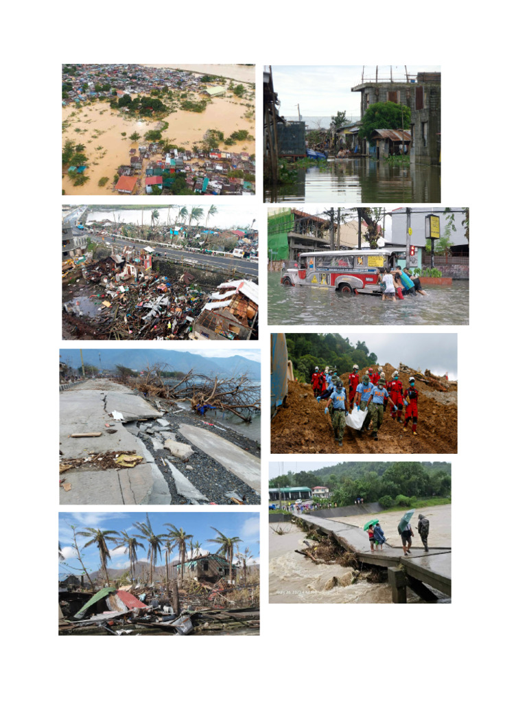 Natural Disasters | PDF
