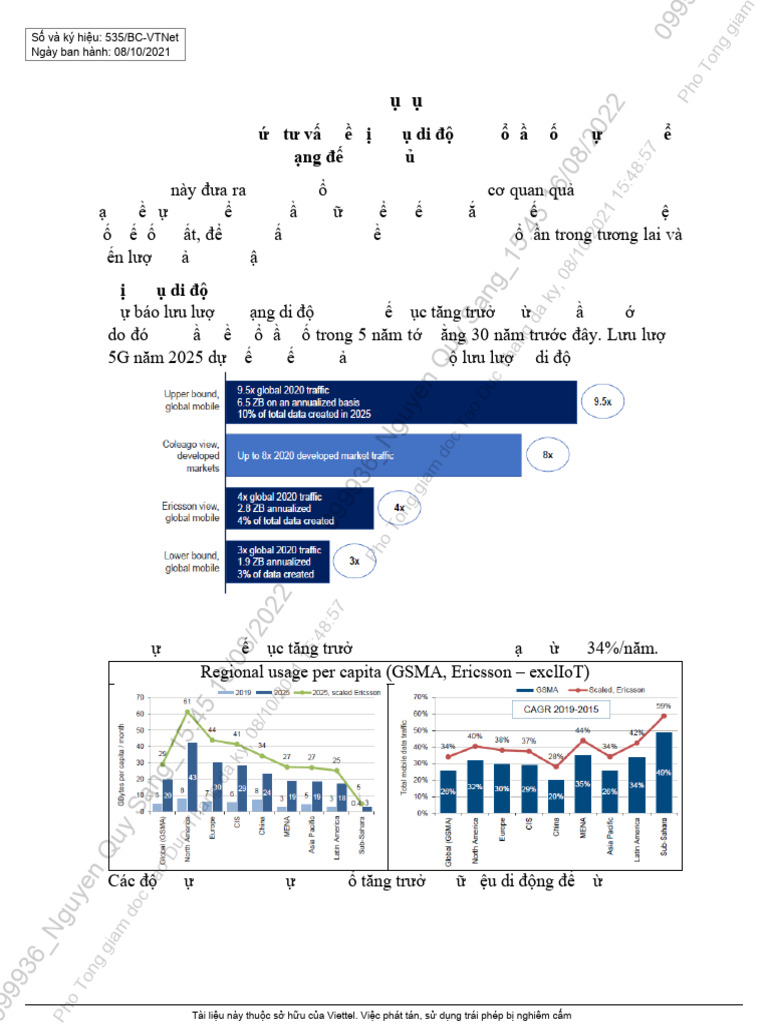 PL4 Bao Cao Tu Van Cua Coleago | PDF