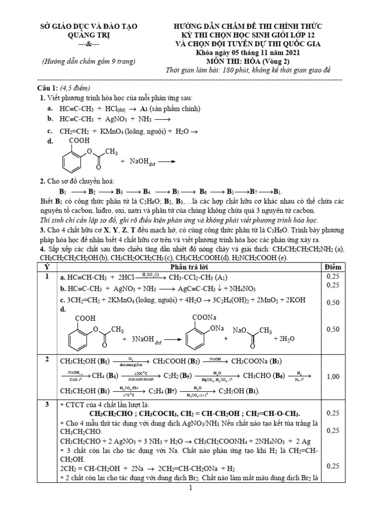 De Thi Chinh Thuc - HDC | PDF