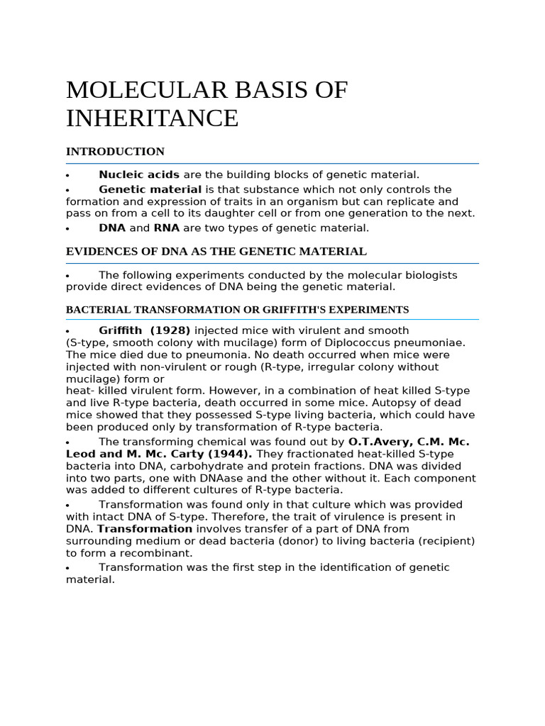 Molecular Basis of Inheritance | PDF | Operon | Genetic Code