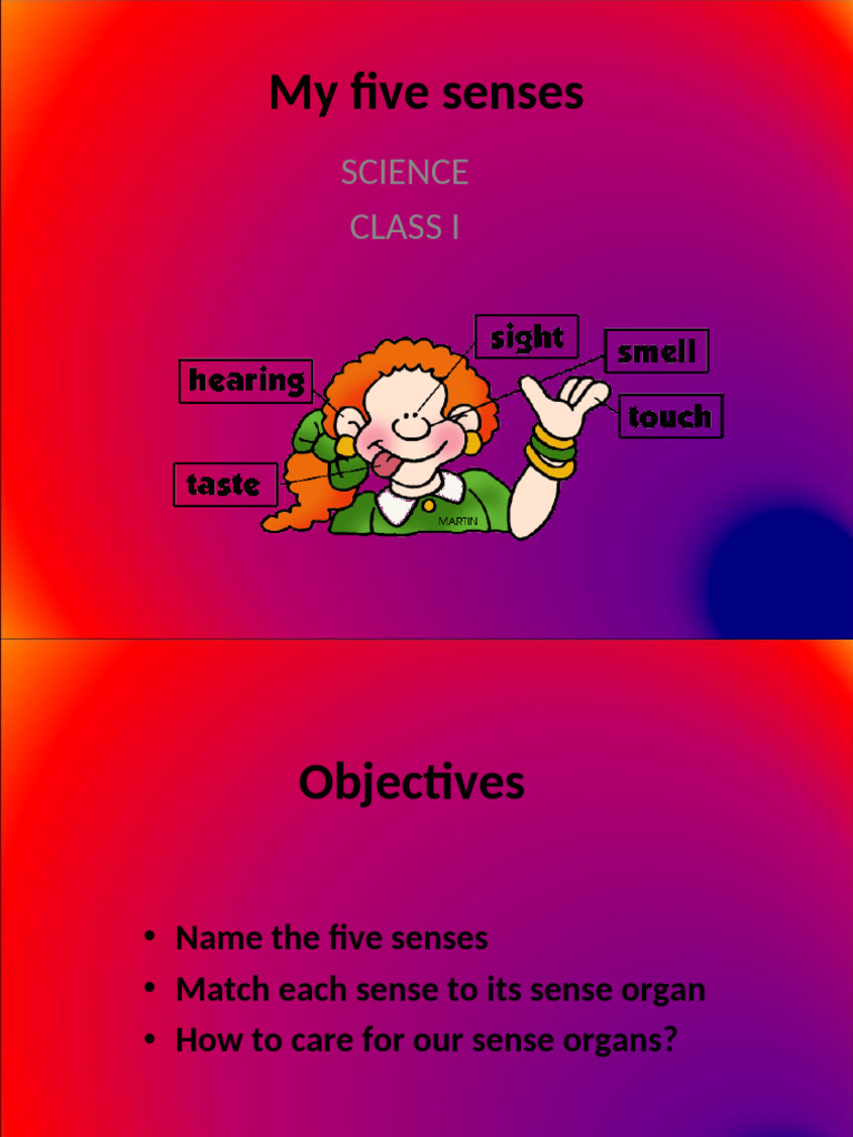 My Five Senses | PDF | Senses | Taste