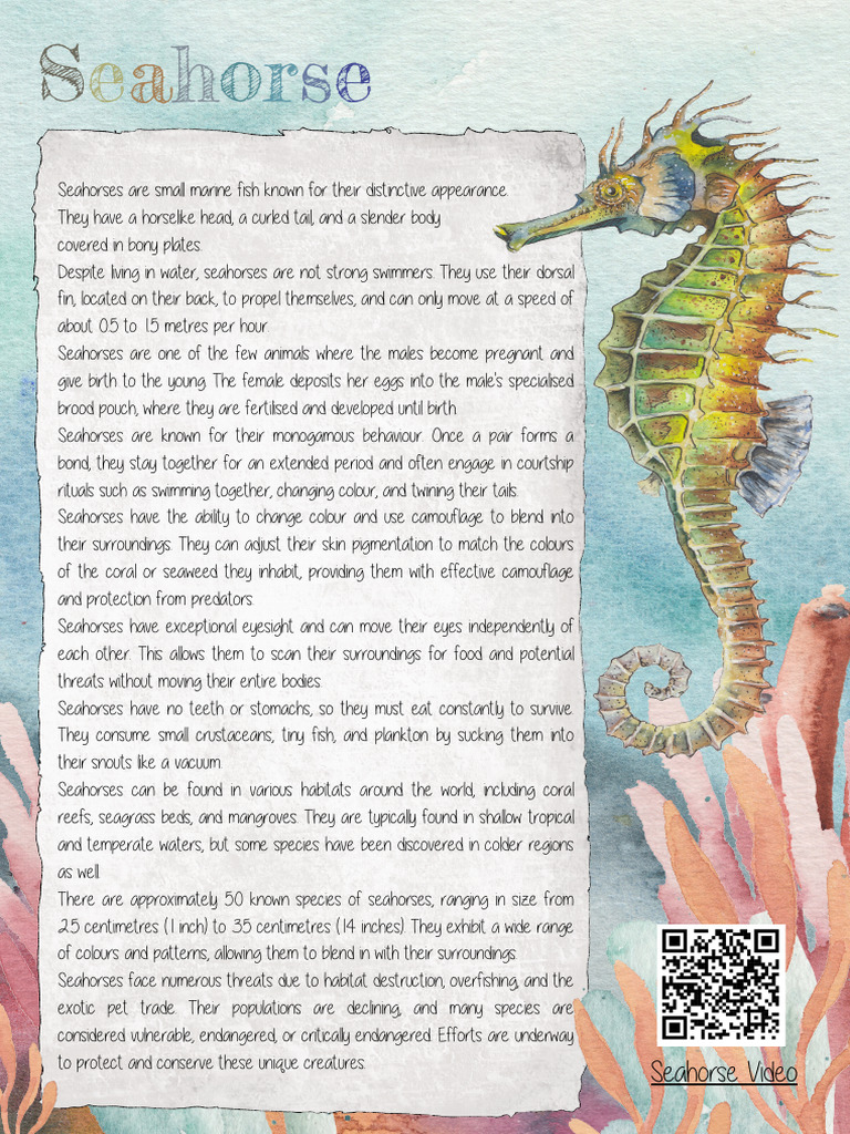 Seahorse Freebie | PDF