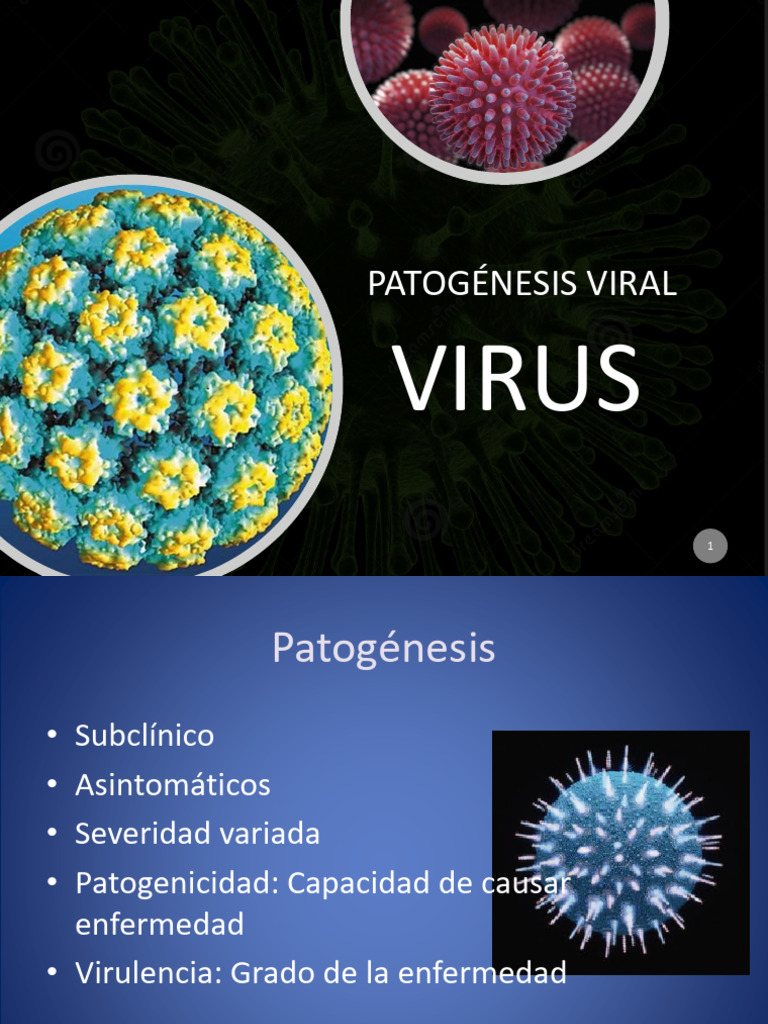 Patogenesis Viral | PDF | Sistema inmune | Virus