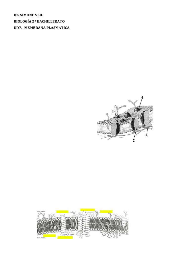 Actividades Ud7 | PDF