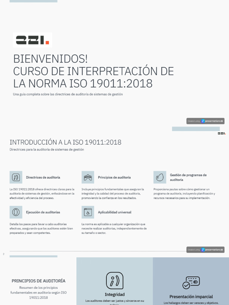 Resumen Interpretacion de La ISO 19011 2018 | PDF