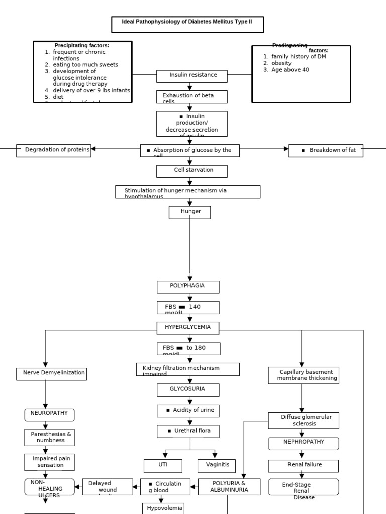 Diabetes Mellitus Type II Pathophysiology | PDF | Diabetes | Kidney