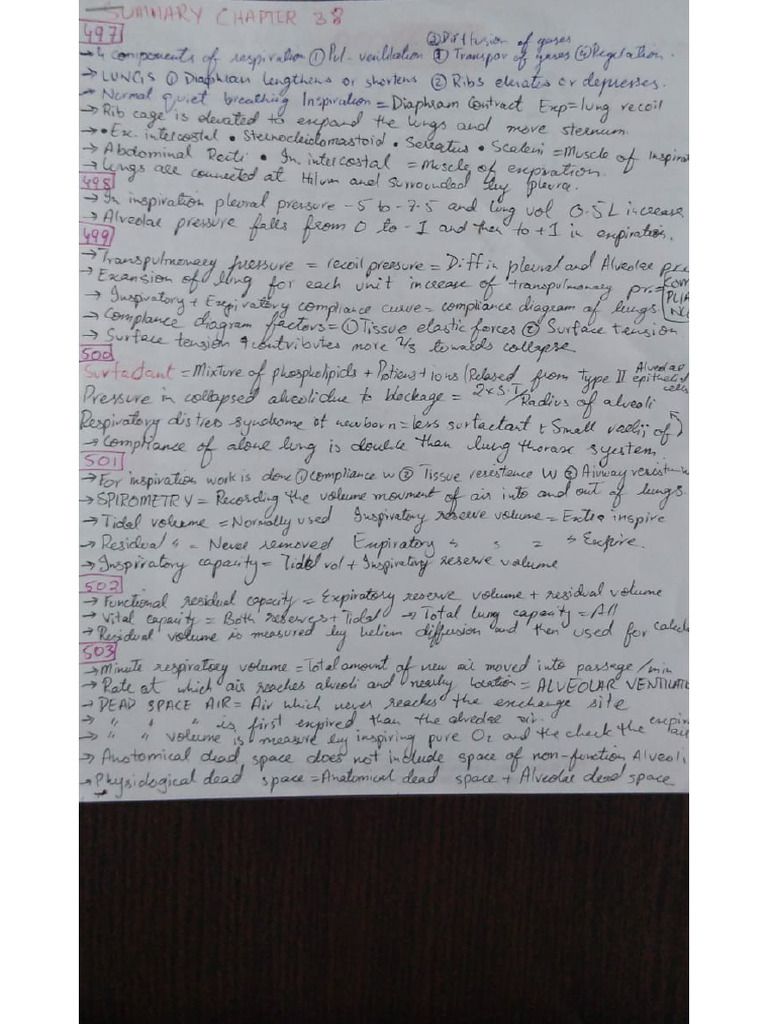 Respiration Mbs | PDF