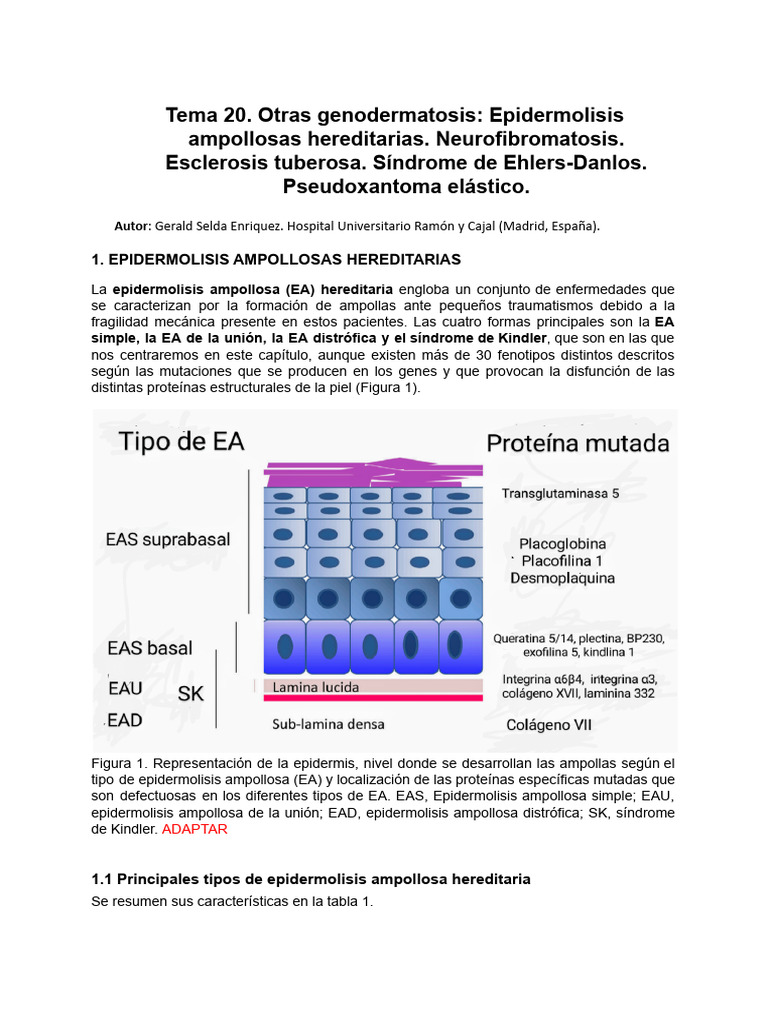 V3 Gerald Tema 20. Otras Genodermatosis - Epidermolisis Ampollosas ...