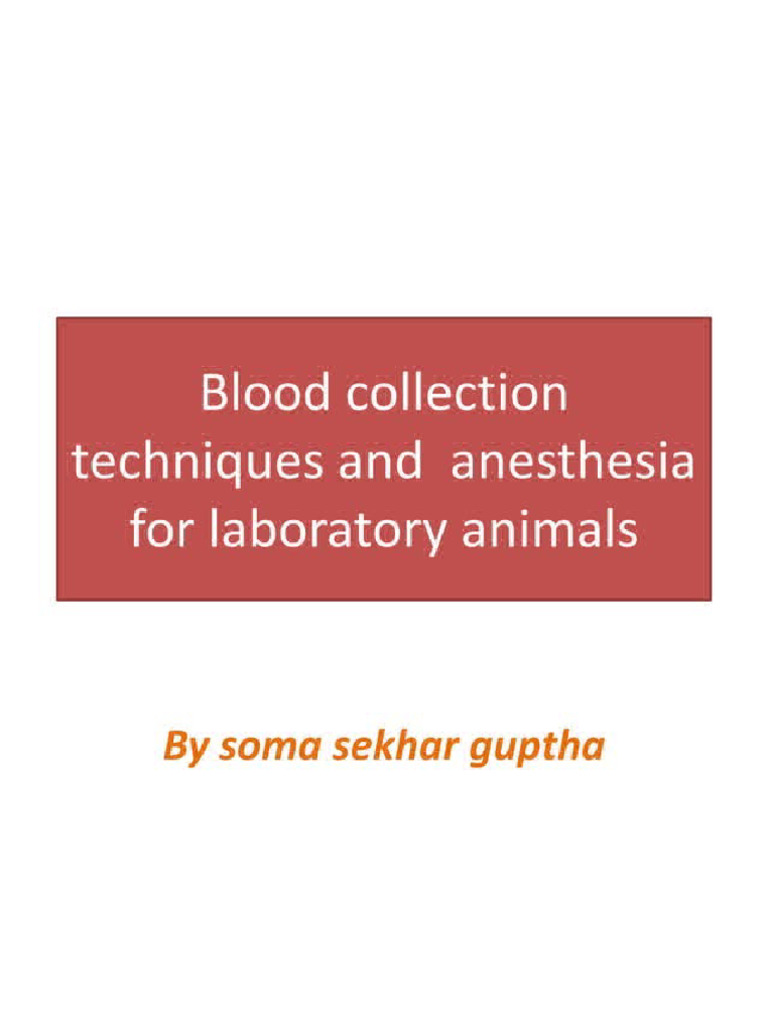 Blood Collection Techniques From Laboratory Animals - 20240616 - 152549 ...