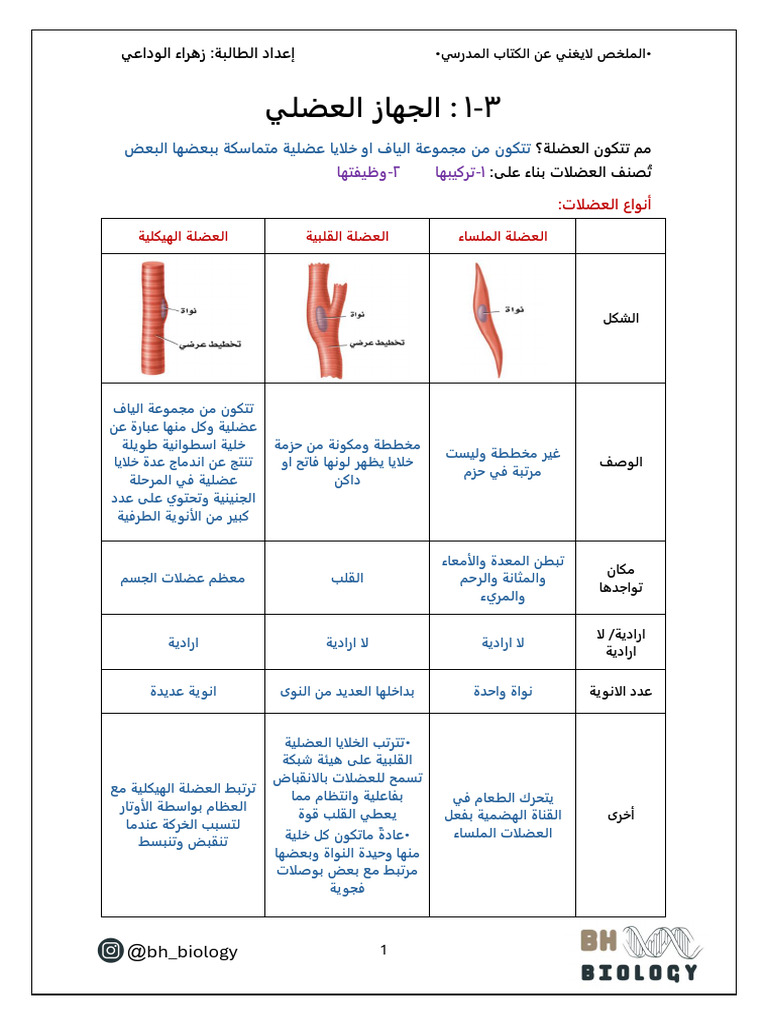 حيا٢١١ - الدرس الثاني (الجهاز العضلي) bh - biology@ | PDF