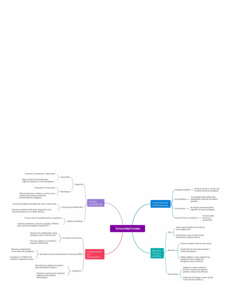 Mapas Mentales | PDF