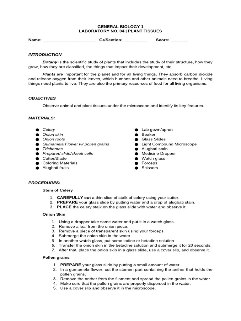 Lab 4 Tissues | PDF | Tissue (Biology) | Plants