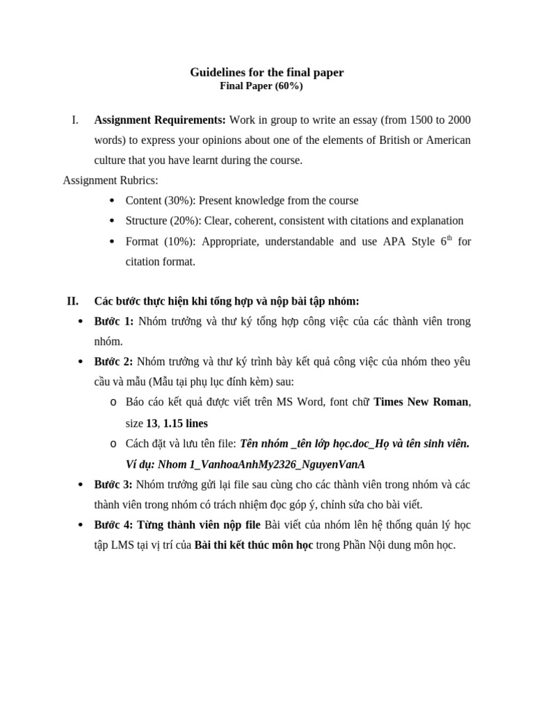 Guidelines For Final Assignment | PDF