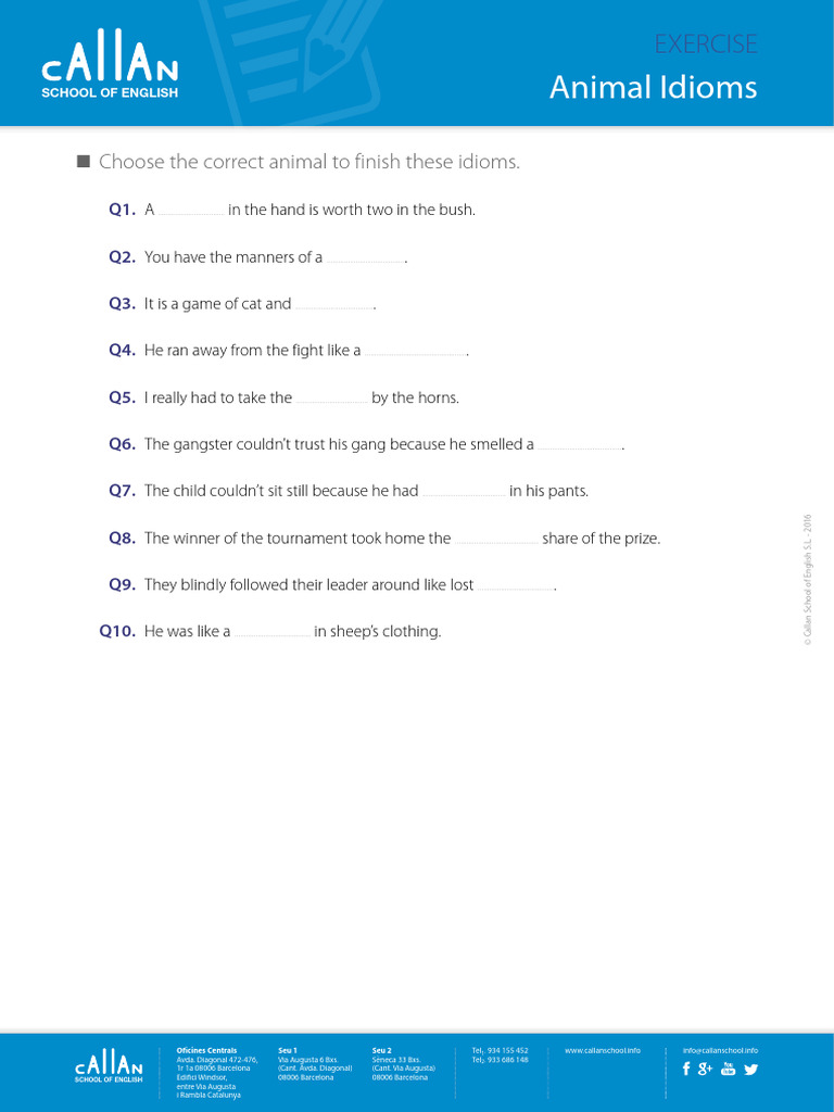 Animal Idioms Exercise and Answers | PDF