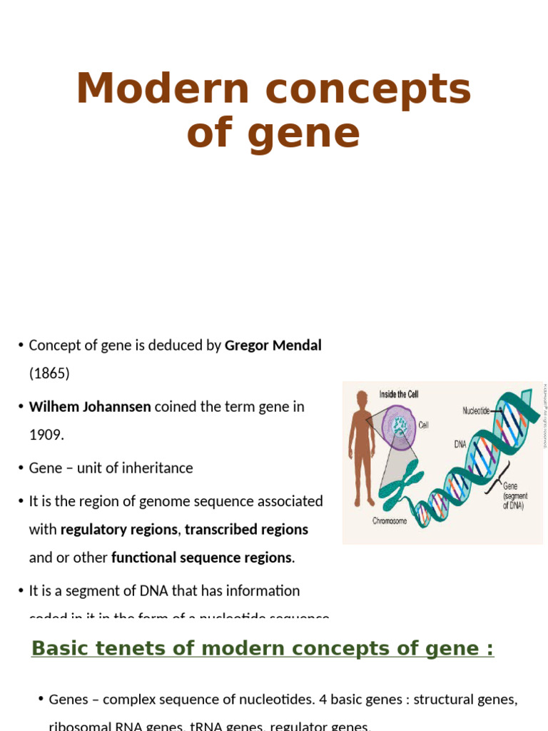 Modern Gene Concepts and Definitions | PDF | Gene | Transposable Element