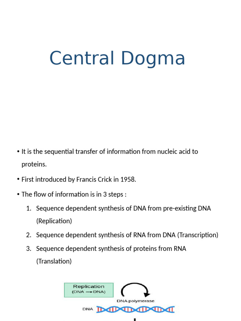 Central Dogma | PDF