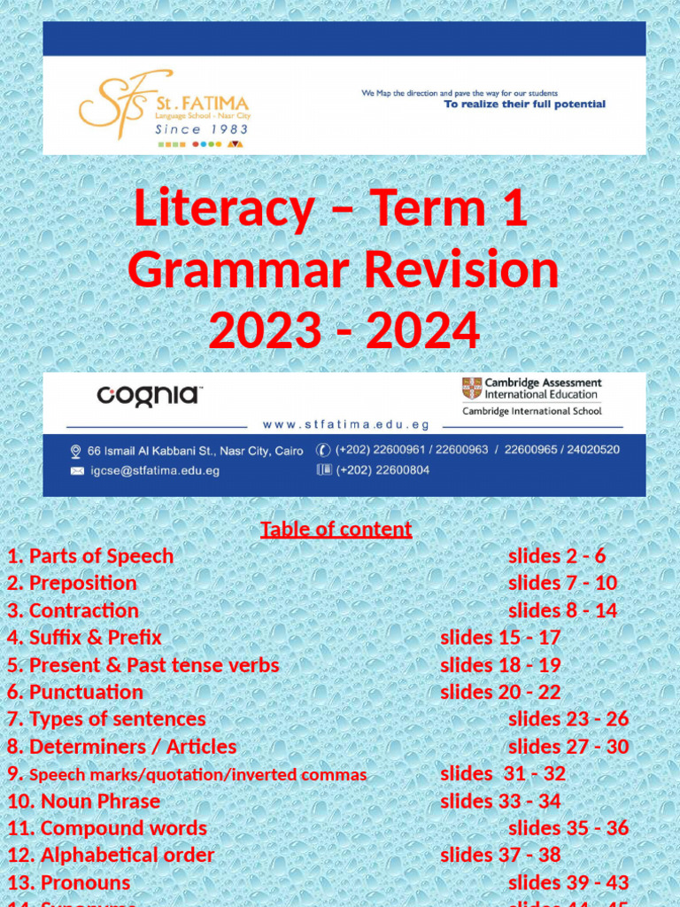 Grammar Revision for Literacy Term 1 | PDF | Part Of Speech | Noun