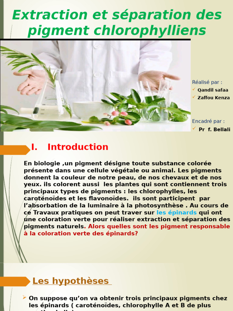 Extraction et séparation des pigments | PDF | Chlorophylle | Pigment