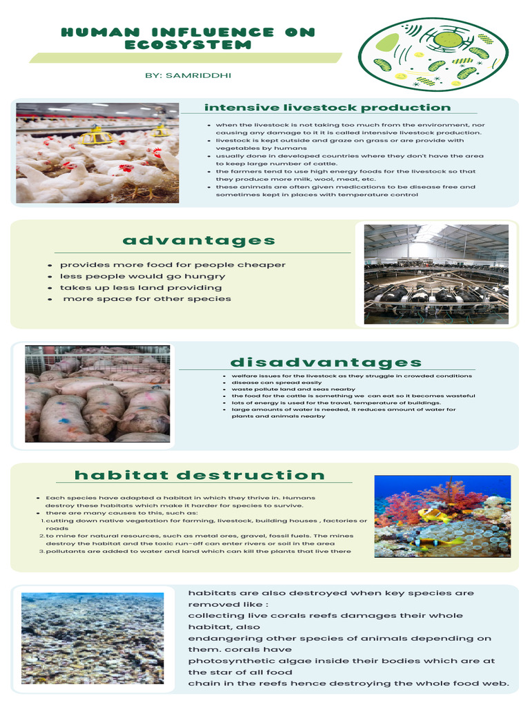 Human Impact on Ecosystems: Livestock Production | PDF | Livestock ...