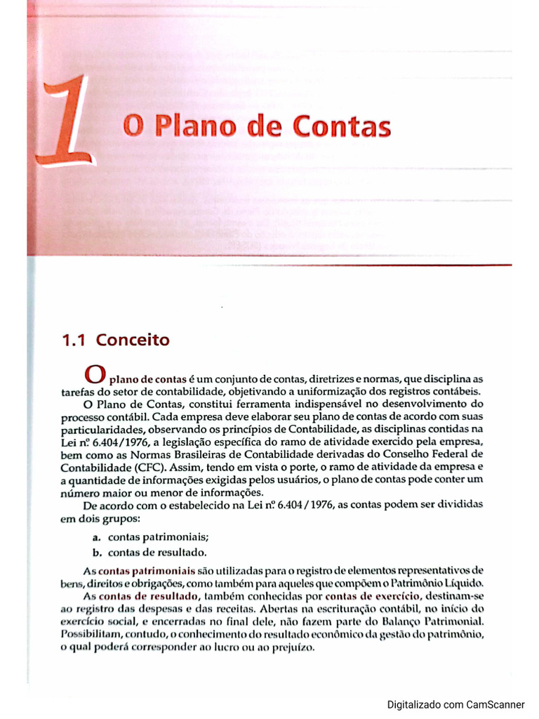 Aula 1 - Plano de Contas Leandro | PDF