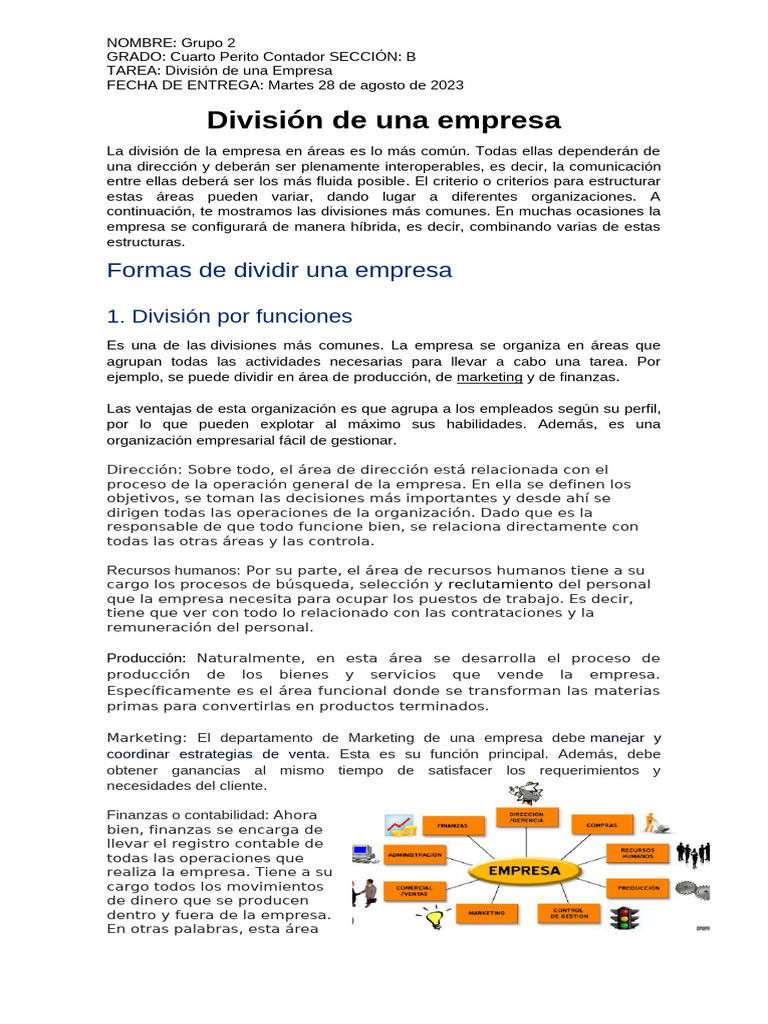 División de Una Empresa | PDF | Business | Marketing
