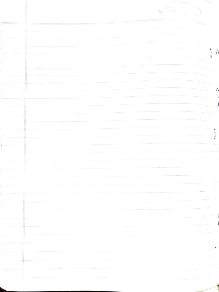 Senior Notes | PDF