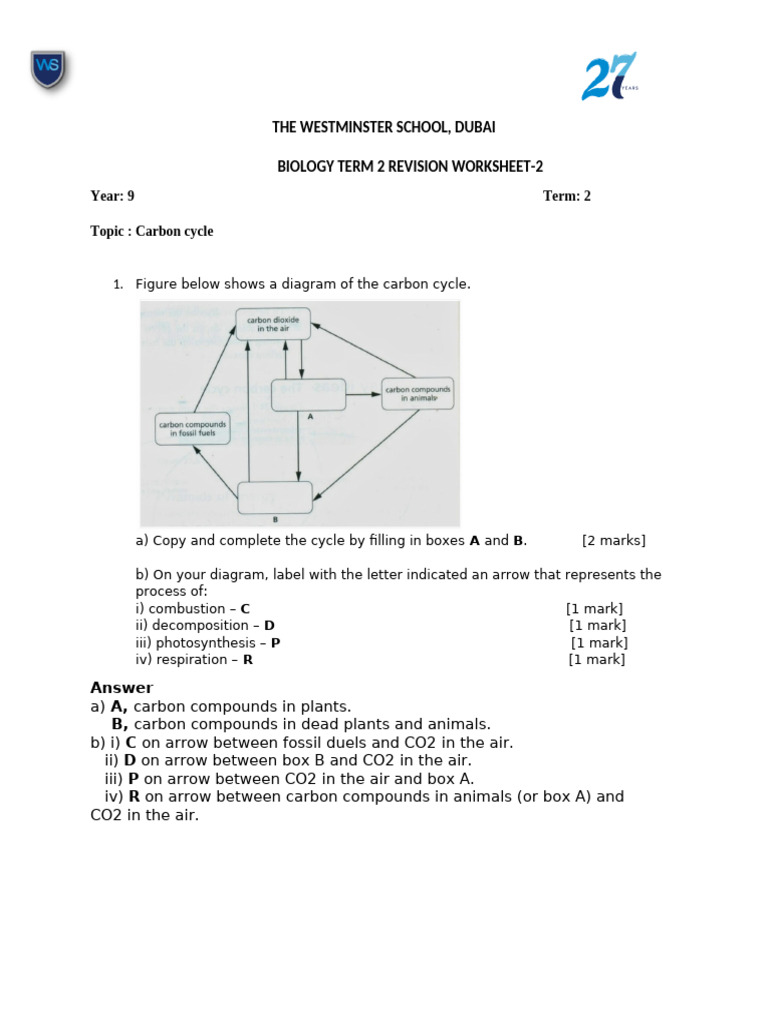 Yr 9 Term 2 Revision Worksheet 2023-2 | PDF | Carbon Dioxide | Carbon Cycle