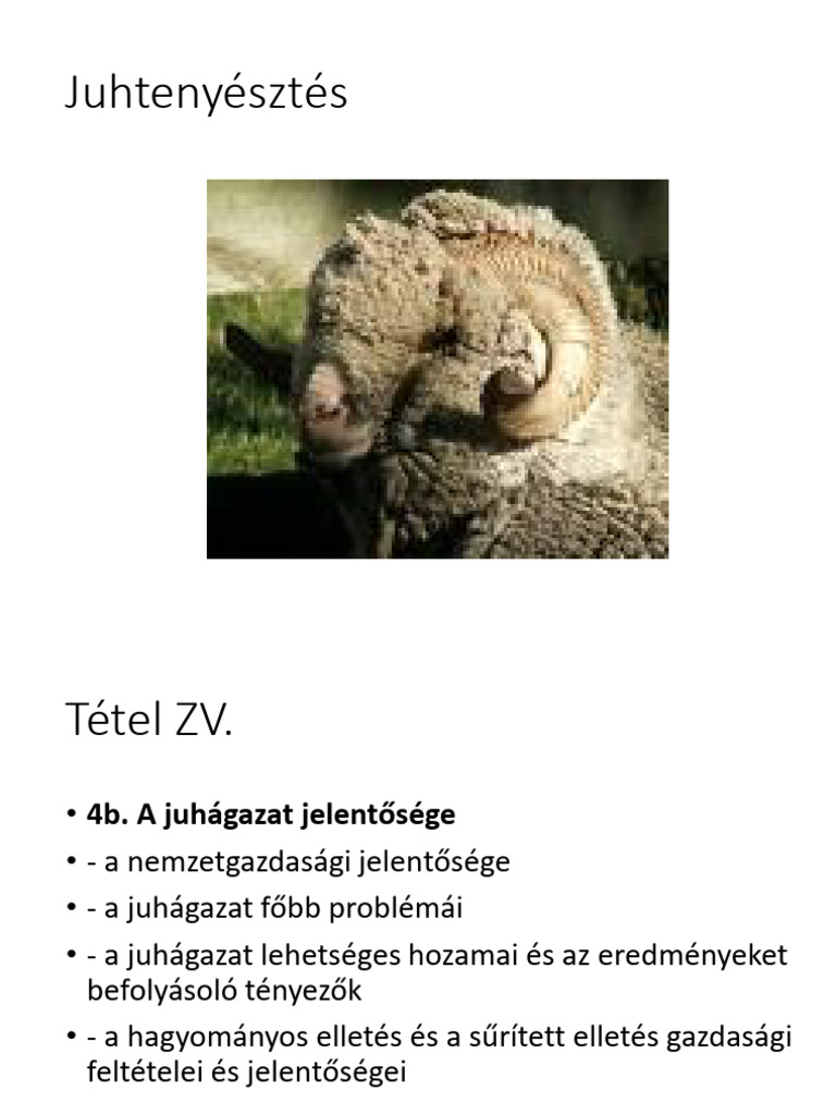 Jelentősség, Domesztikáció, Fajták (Juh) | PDF