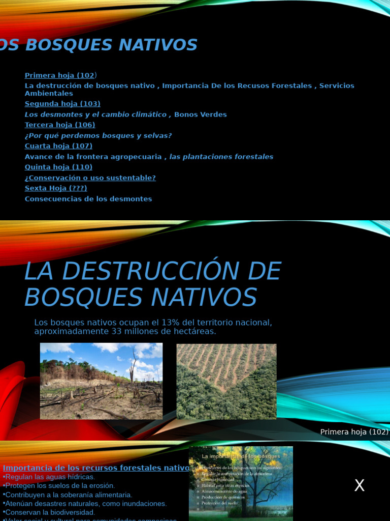 Impacto y Conservación de Bosques Nativos | PDF | Los bosques ...