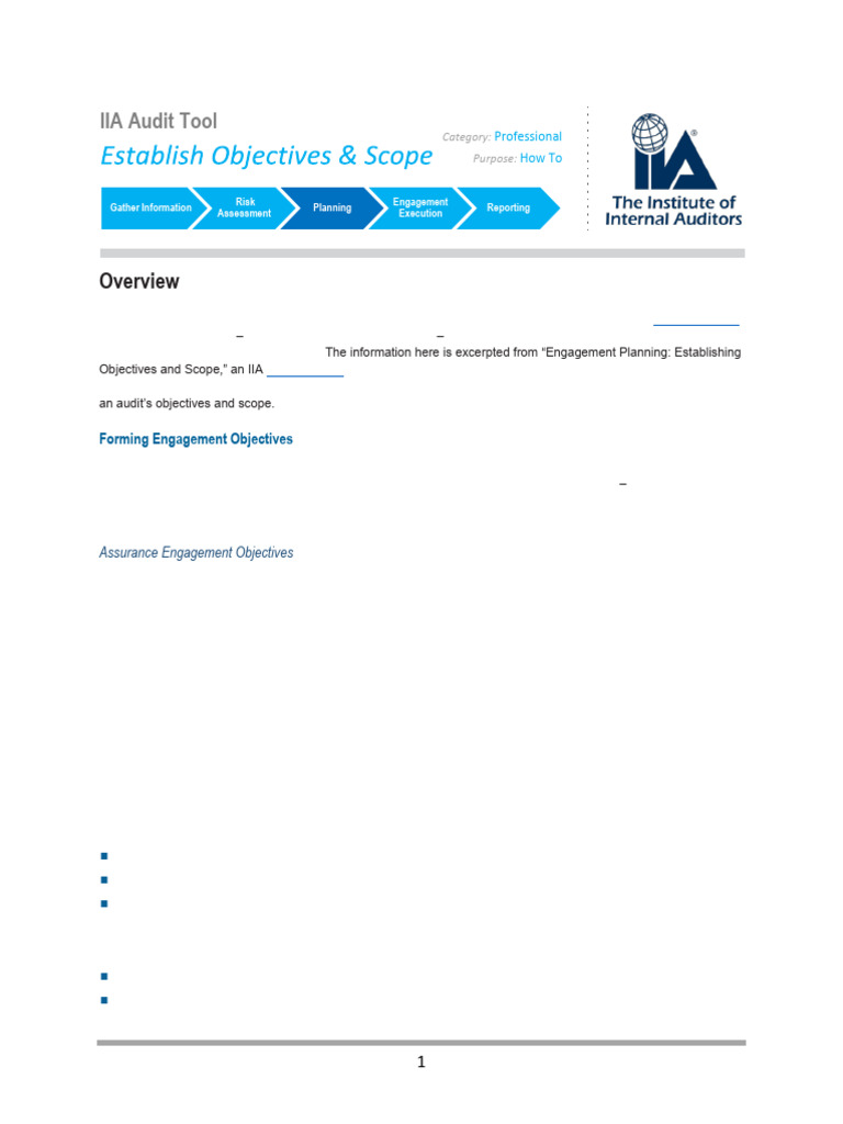 Establishing Audit Objectives and Scope | PDF | Internal Audit | Audit