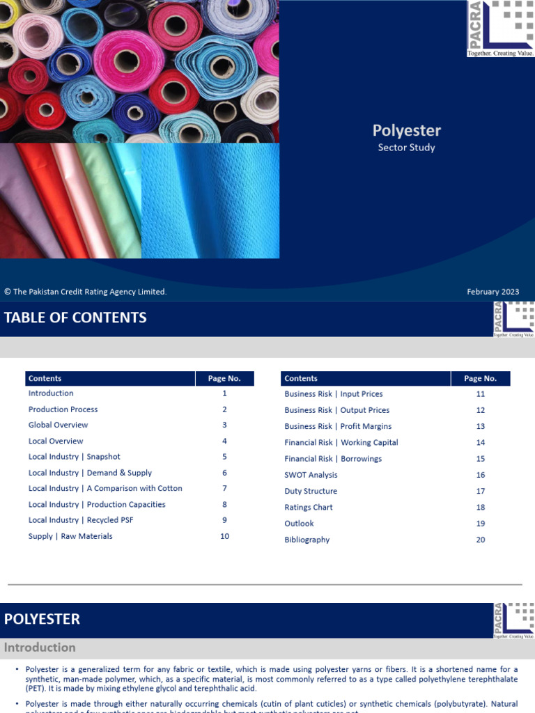 Polyester Industry Overview 2023 | PDF | Textiles | Polyester