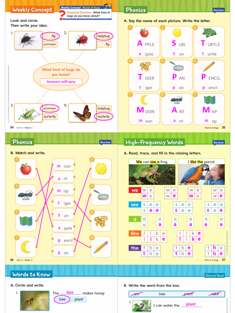 Grade 5 Phonics Unit 2 Week 3 Answers | PDF