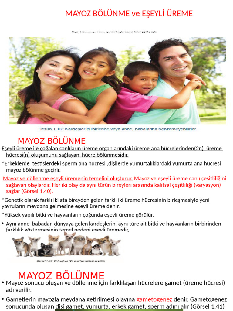 2021 Mayoz Bã - Lã - Nme | PDF