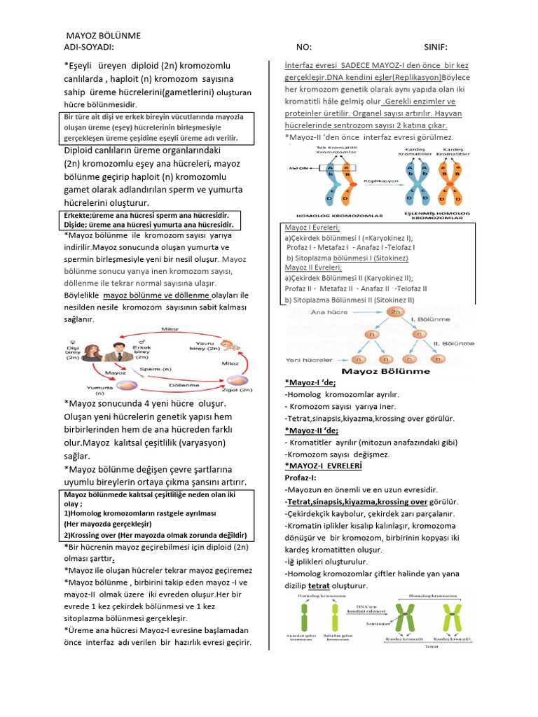 Mayoz Bã - Lã - Nme 2022 | PDF