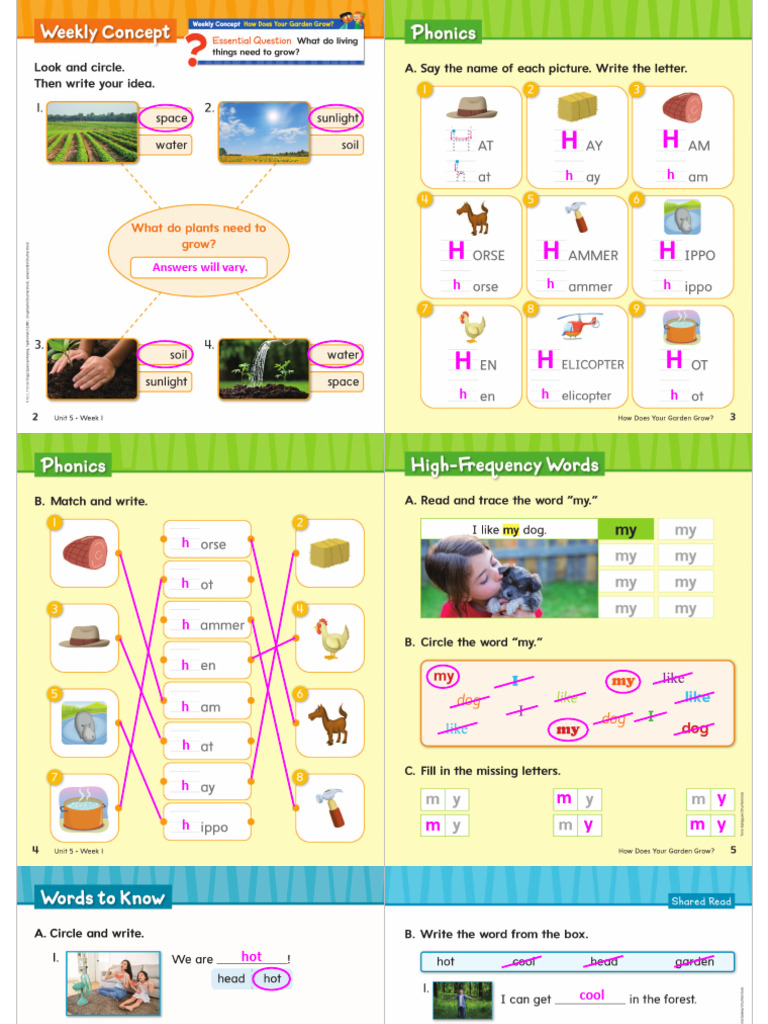 Unit 5 Week 1 Practice Book Answer Key | PDF