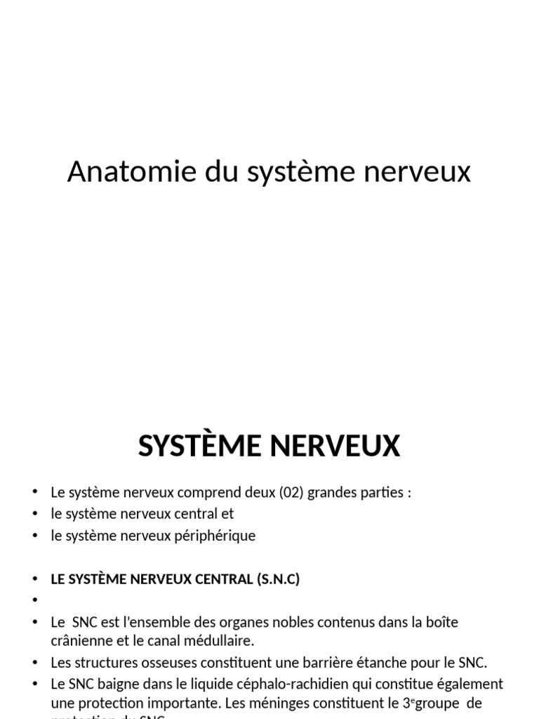 Anatomie Du Système Nerveux | PDF | Nerf | Circonvolution cérébrale