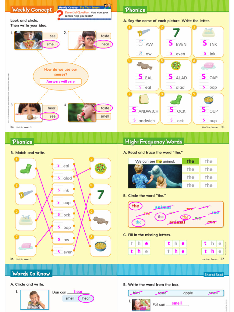 Unit 1 Week 3 Practice Book Answer Key | PDF