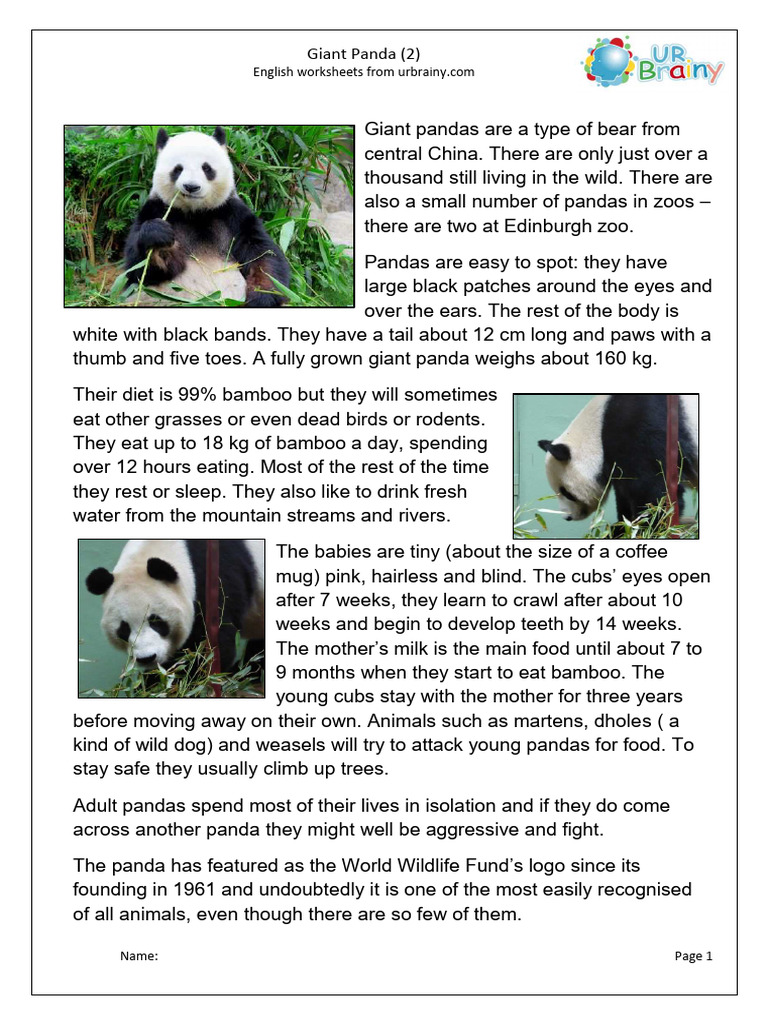Giant Panda 2 | PDF | Giant Panda